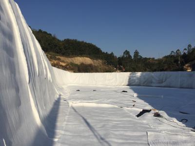 Cina Geotextile e Geonet 3D composite drainage net 3,4 mm-8 mm spessore per prestazioni in vendita