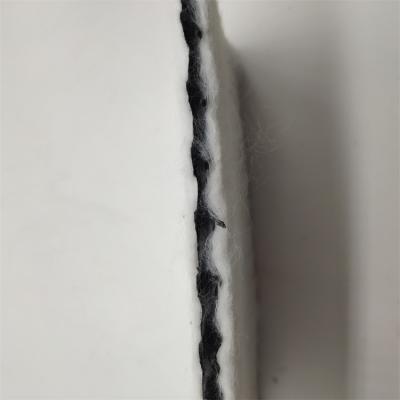 Cina Easy Set 3d Geonet di drenaggio composito per la protezione del drenaggio da filtrazione inversa in vendita