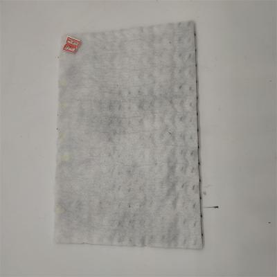 Cina Easy Set 3d Geonet di drenaggio composito per la protezione del drenaggio da filtrazione inversa in vendita