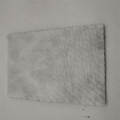 Cina Easy Set 3d Geonet di drenaggio composito per la protezione del drenaggio da filtrazione inversa in vendita