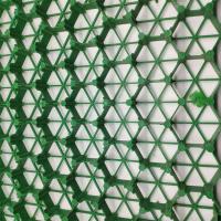 China Gravel Stabilizer Plastic Grass Paver Easy Set for Construction Engineering Needs for sale
