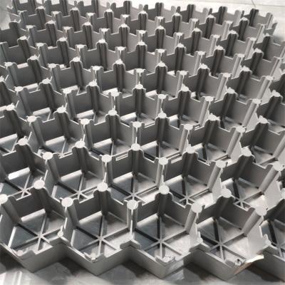 Cina Sistema di ecologizzazione distribuzione carico di plastica erba paver Griglia per stabilizzatore di ghiaia in vendita