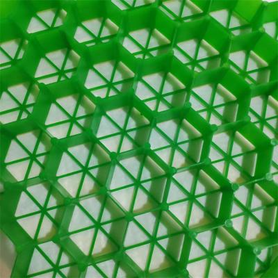 Cina Sistema di ecologizzazione distribuzione carico di plastica erba paver Griglia per stabilizzatore di ghiaia in vendita