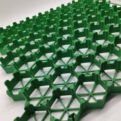 Cina Sistema di ecologizzazione distribuzione carico di plastica erba paver Griglia per stabilizzatore di ghiaia in vendita