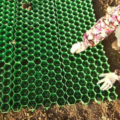 Cina Sistema di gresino a griglia di diamanti Pavimentatore di erba a forma di griglia con certificato CE/ISO9001/ISO14001 in vendita