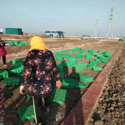 Cina Sistema di gresino a griglia di diamanti Pavimentatore di erba a forma di griglia con certificato CE/ISO9001/ISO14001 in vendita