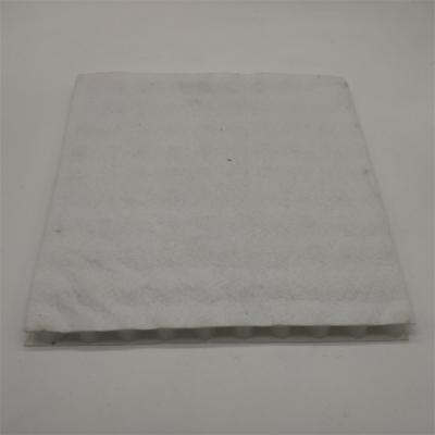 Cina 3.4mm-8mm Spessore Geonet composito per drenaggio Funzione di protezione 3D delle discariche in vendita