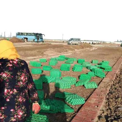 Cina Griglia di erba per via d'ingresso in HDPE PP Griglia di plastica ad alta resistenza alla compressione per parcheggio in vendita