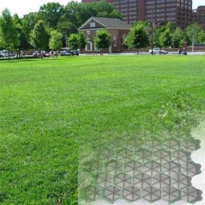 Cina Griglia di erba per via d'ingresso in HDPE PP Griglia di plastica ad alta resistenza alla compressione per parcheggio in vendita