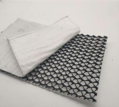 Cina Geonet di drenaggio composto 3D di design moderno con capacità di super drenaggio da fattore in vendita