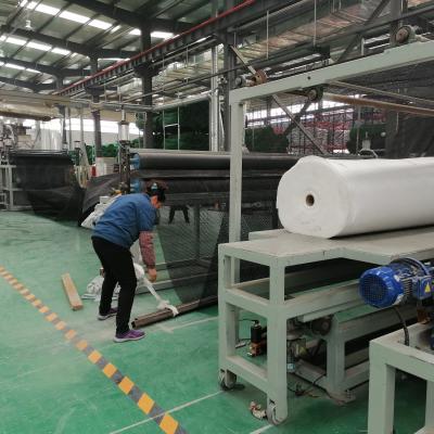 Cina Geonet di drenaggio composto 3D di design moderno con capacità di super drenaggio da fattore in vendita