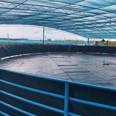 中国 強化されたHdpe 地膜 標準 ASTM GRI GM13 グリーン 製造者内製造 販売のため