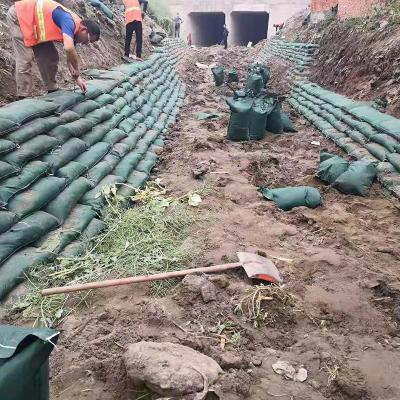 Cina Supporto tecnico online fornito per il Geobag ecologico sulle piste ferroviarie e autostradali in vendita