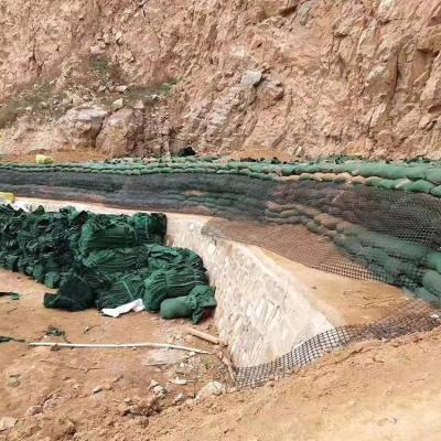 Cina Supporto tecnico online fornito per il Geobag ecologico sulle piste ferroviarie e autostradali in vendita