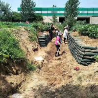 China Online Technical Support Provided for Railway and Highway Slope Ecological Geobag for sale