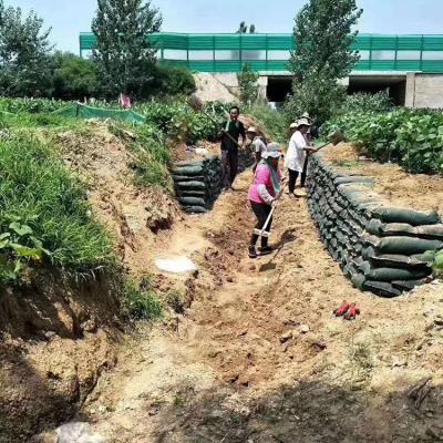 Cina Supporto tecnico online fornito per il Geobag ecologico sulle piste ferroviarie e autostradali in vendita