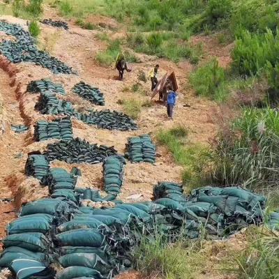 Cina Supporto tecnico online fornito per il Geobag ecologico sulle piste ferroviarie e autostradali in vendita