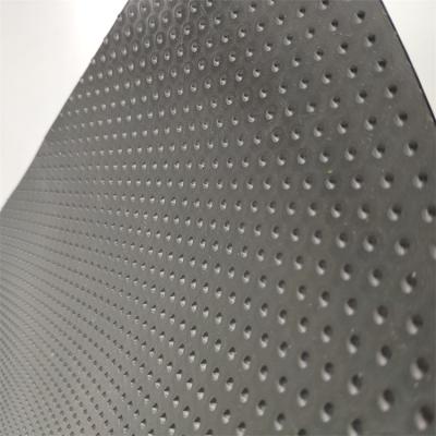 Cina Geomembrane Membrana impermeabile per cisterna 0,4 mm-2,0 mm Geomembrana impermeabile in vendita