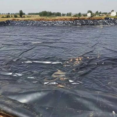Cina Geomembrana di superficie ruvida antiscivolo per stagno di allevamento di gamberetti in vendita