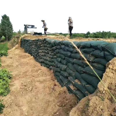 中国 斜面保護と荒野山地鉱山の緑化のためのPPPPET非織物Geobag 販売のため