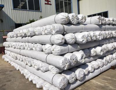 Cina Moderna progettazione di geogridi Soluzione ad alta resistenza per dighe di rivestimento di costruzioni semplici in vendita