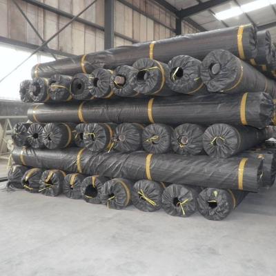 Cina Geomembrana di superficie ruvida antiscivolo per stagno di allevamento di gamberetti in vendita