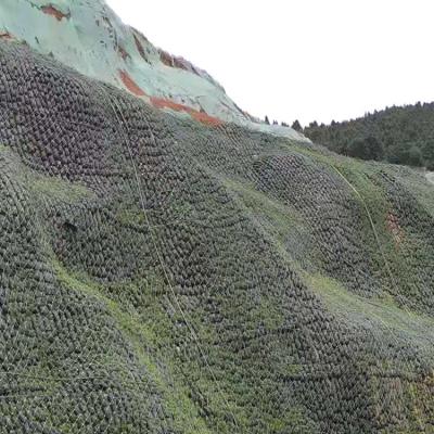 Cina Moderno design Geobag con versante ecologico flessibile e materiale ecologico in vendita