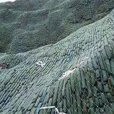 Cina Moderno design Geobag con versante ecologico flessibile e materiale ecologico in vendita