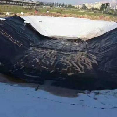 Cina Geomembrane in HDPE anti-siqueazione personalizzate per lago artificiale e fiume in vendita