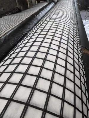 Cina Moderna progettazione Geogrids PE Biaxial Mesh Fibra di vetro per la soluzione di stabilizzazione dell'ingresso in vendita