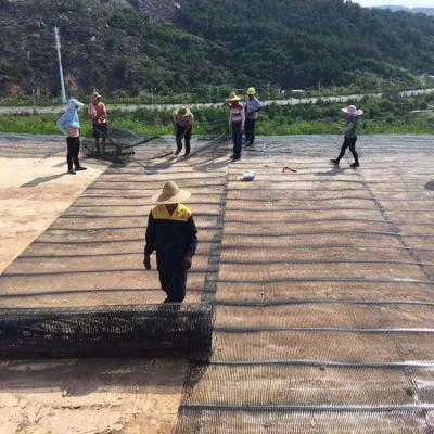 Cina Taian fornisce una geogrid uniaxiale al 100% di PP per una costruzione facile al meglio in vendita