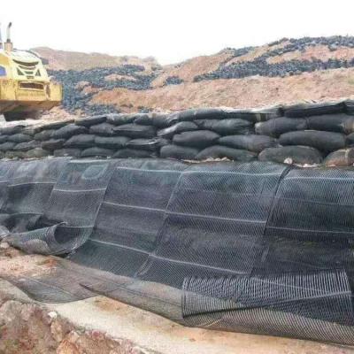 中国 原材料 HDPE/PP 土木工学プロジェクトにおける支障壁のための単軸地網 販売のため