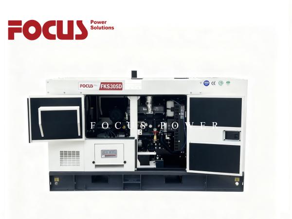 Quality Customizable SDEC Diesel Generator Set 100Kva 200Kva 80Kva 50Kva Silent Operation for sale