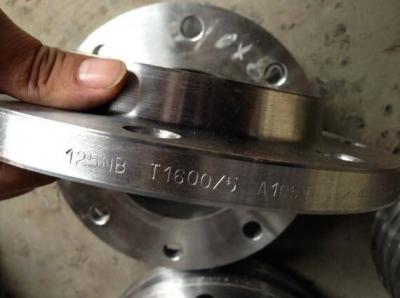 China SABS 1123 (SANS 1123) T600/1000/1600/2500/4000 Forged Steel Flanges for sale