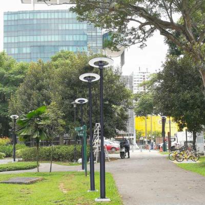 Cina 20W 30W 40W 50W LED luce da giardino Parco esterno Cortile stradale Decorazione impermeabile in vendita