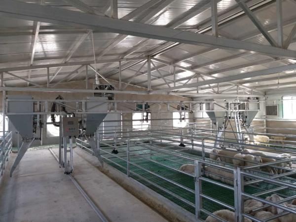 Quality Galvanized Q355B Frame Steel Structure Workshop Steel Livestock Buildings Rapid Assembly for sale