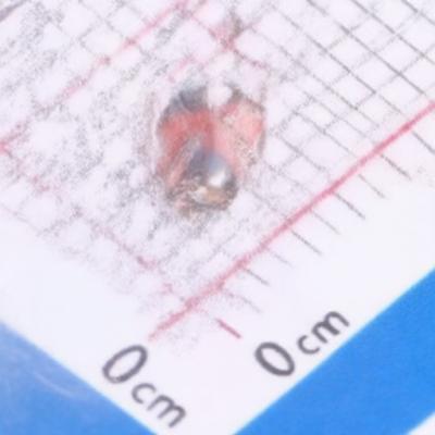China 5 Percent Voltage Tolerance Power Zener Diode ST Semtech ZM4733A Silicon Planar with LL41 Case Style for sale