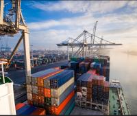 China Sea Freight Efficient Customs Clearance for sale