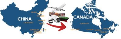 Cina Cina Shanghai a Toronto Canada DDU Spedizione Canada Ocean Agente Amazon FBA in vendita