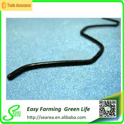 China Film zigzag spring used in greenhouse,with a hign quanlity but cheapest price,we have an advantage price for you for sale