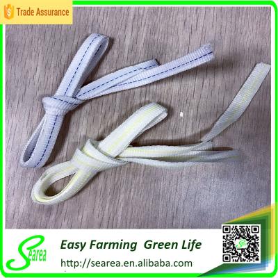 China greenhouse film fasten band ,greenhouse film fasten band ,greenhouse film fasten band ,greenhouse film fasten band for sale