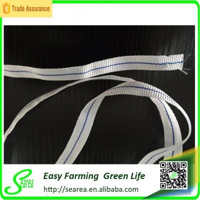 China greenhouse film band,best made in SEAREA greenhouse,greenhouse film band,best made in SEAREA greenhouse for sale