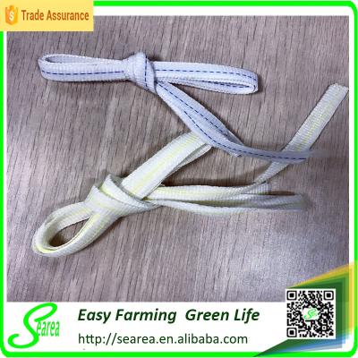 China greenhouse film fasten band  plastic band for greenhouse greenhouse film band,best made in SEAREA greenhouse for sale