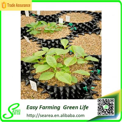 China black root control container with size design plant root control device pot tree root container for air pruning for sale