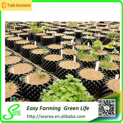 China root pruning container for young ang growth plant  air pruning plant tree root developing containers  for sale