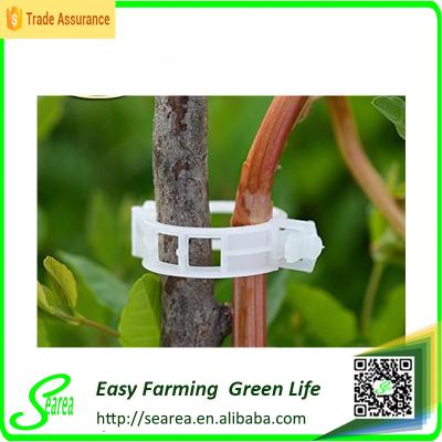 China clip for tomato tomato grafting clips hanging clips,clip for tomato tomato grafting clips hanging clips for sale