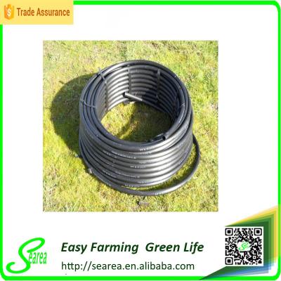 China greenhouse curtain spring wire,greenhouse polyster curtain wire,greenhouse curtain spring wire,greenhouse polyster wire for sale
