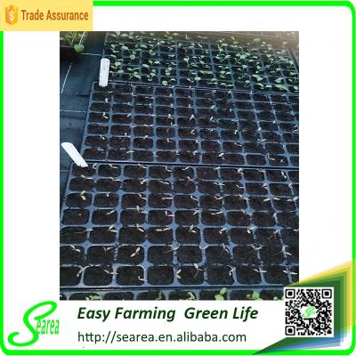 China Plastic green/red/blue/white seeding sprouting tray plastic seeding tray for greenhouse for sale