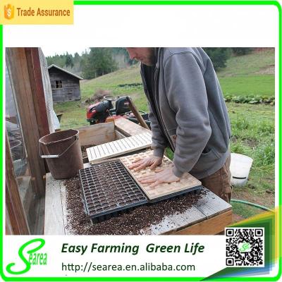 China Plug Trays Nursery Trays Plastic Seeding Trays Seed Tray, Seeding Tray, Cell Trays, Plug Tray, Flower Tray, Planter Tray for sale