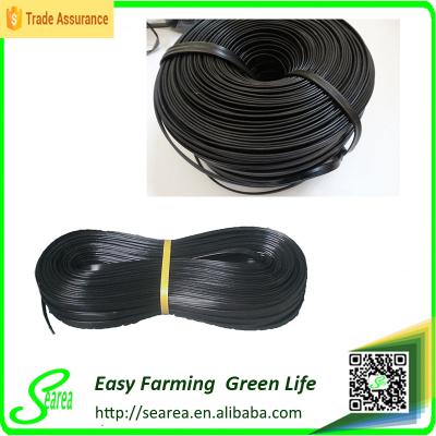 China Here sell Agriculture Polyester Wire,uesd in greenhouse,with hign quanlity but low cost for sale